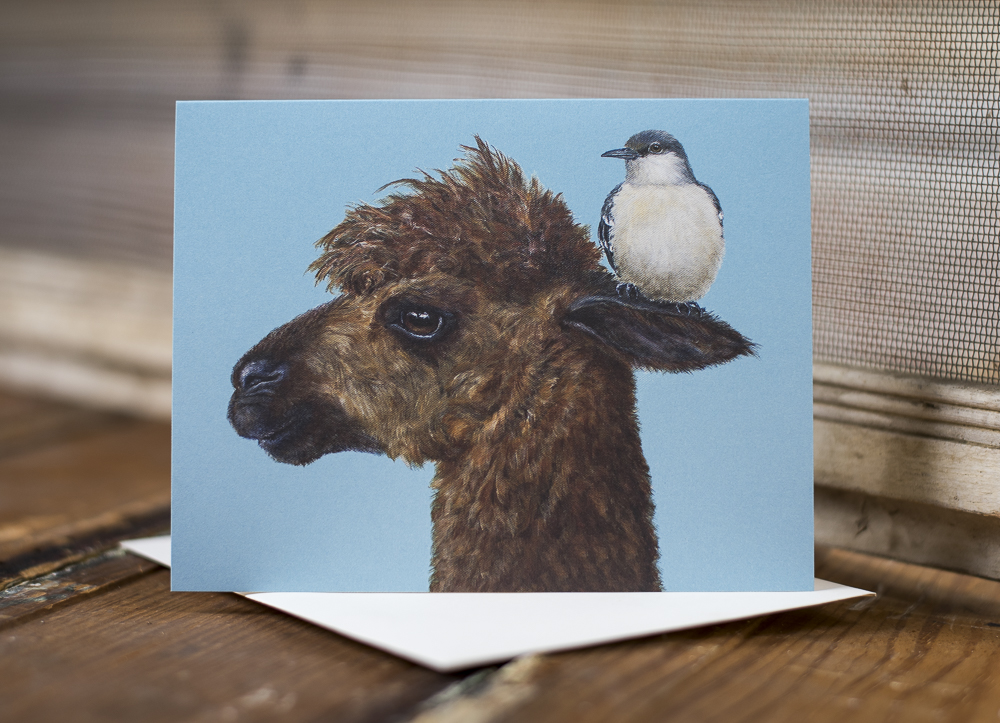 Alpaca Thank You Card 1 | Kurtz Collection