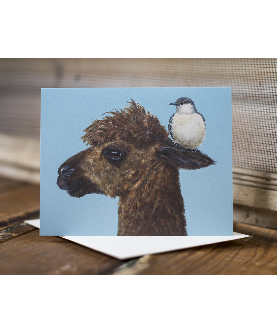 27661_Alpaca_Thank_you_Card | Kurtz Collection