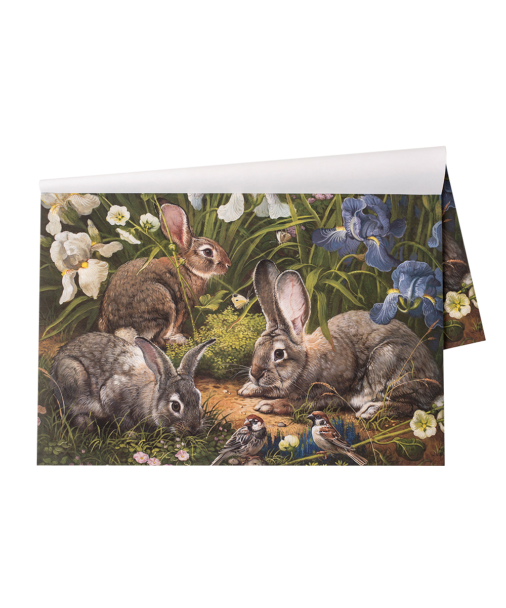 Garden Rabbit Paper Placemats 1 | Kurtz Collection